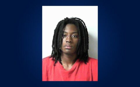 Springfield teen arrest on felony charge – Peak of Ohio