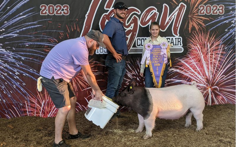 Packed house at Junior Fair Swine Show – Peak of Ohio