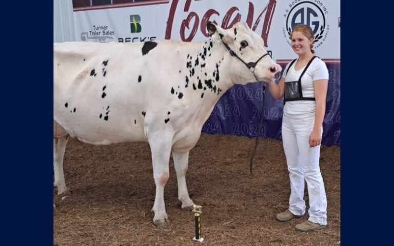 Henry Dairy Cattle Overall Champion – Peak of Ohio