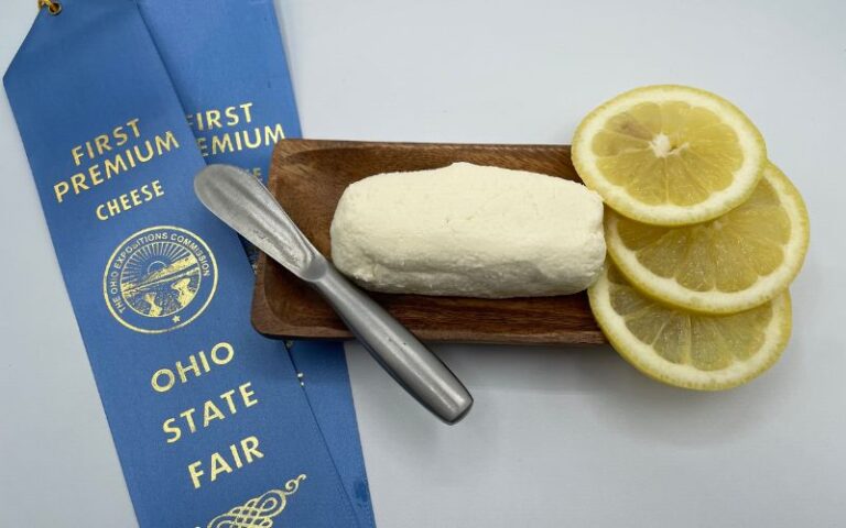 Blue Jacket Dairy Wins at 2024 Ohio State Fair Cheese Competition ...